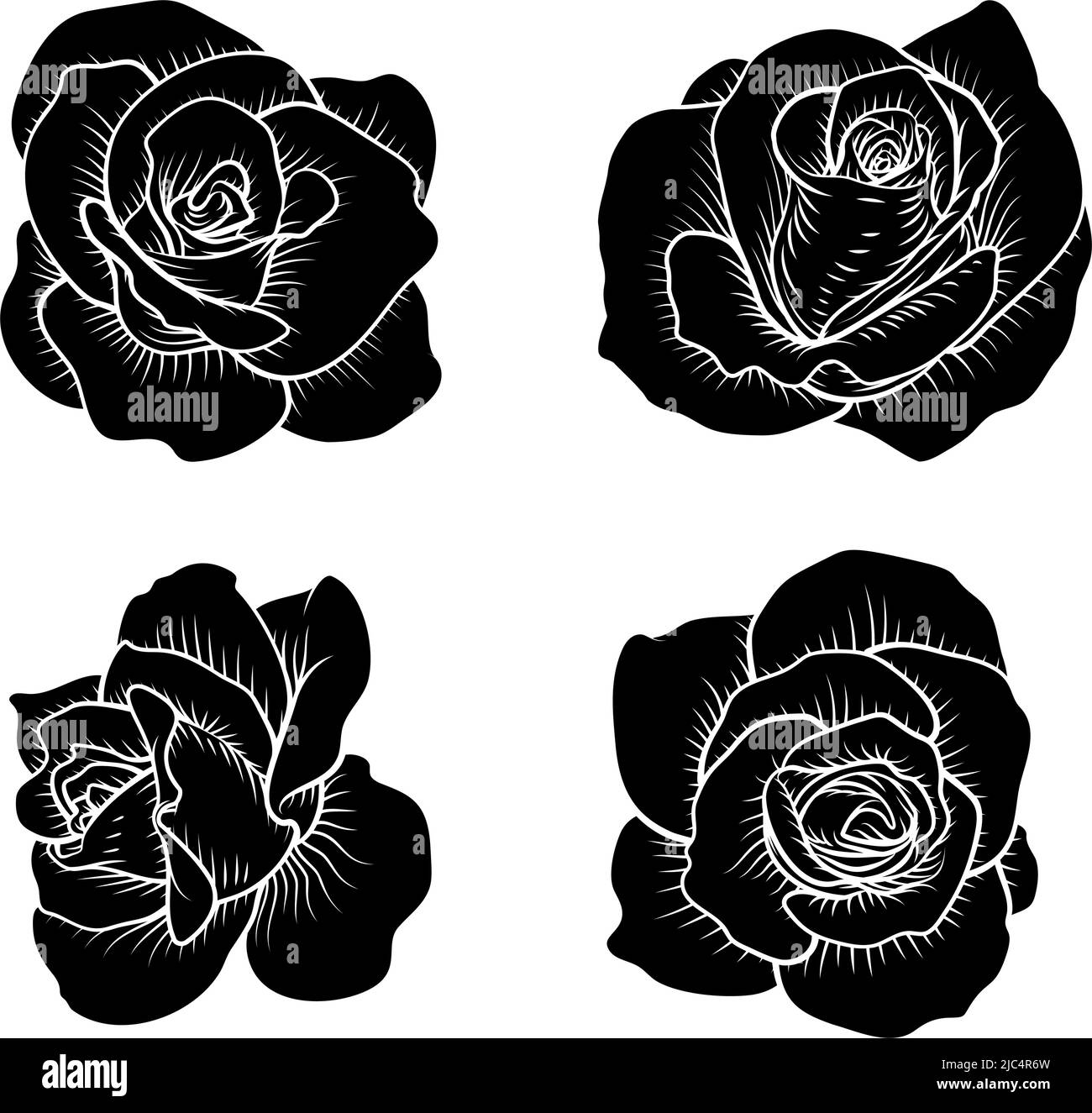 Set of Roses Rose Flowers in Vintage Woodcut Style Stock Vector Image ...
