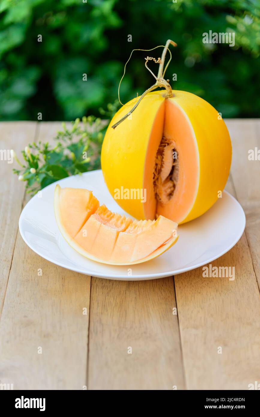 Well draining soil hi-res stock photography and images - Alamy