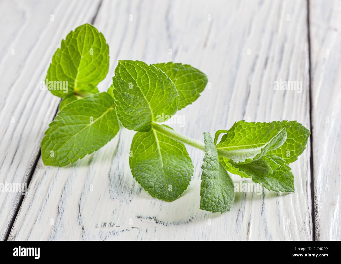 Fresh melissa on white wooden background Stock Photo - Alamy