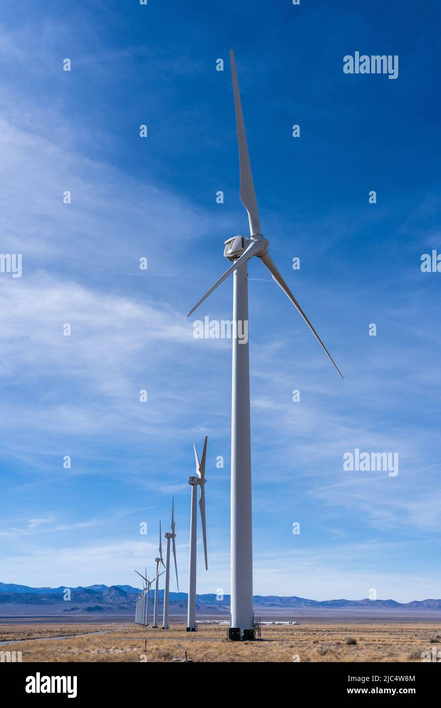 Two sources of renewable energy - wind & biogas - the Milford Wind farm ...