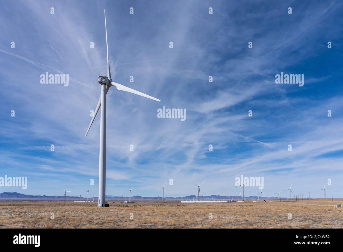 Two sources of renewable energy - wind & biogas - the Milford Wind farm ...