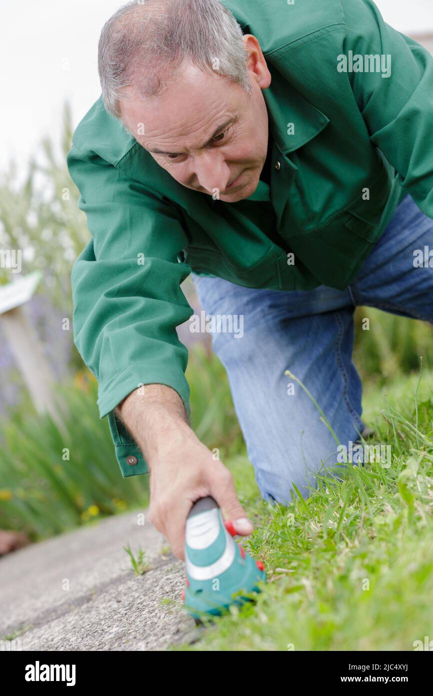 Edge planting of grass hi-res stock photography and images - Alamy