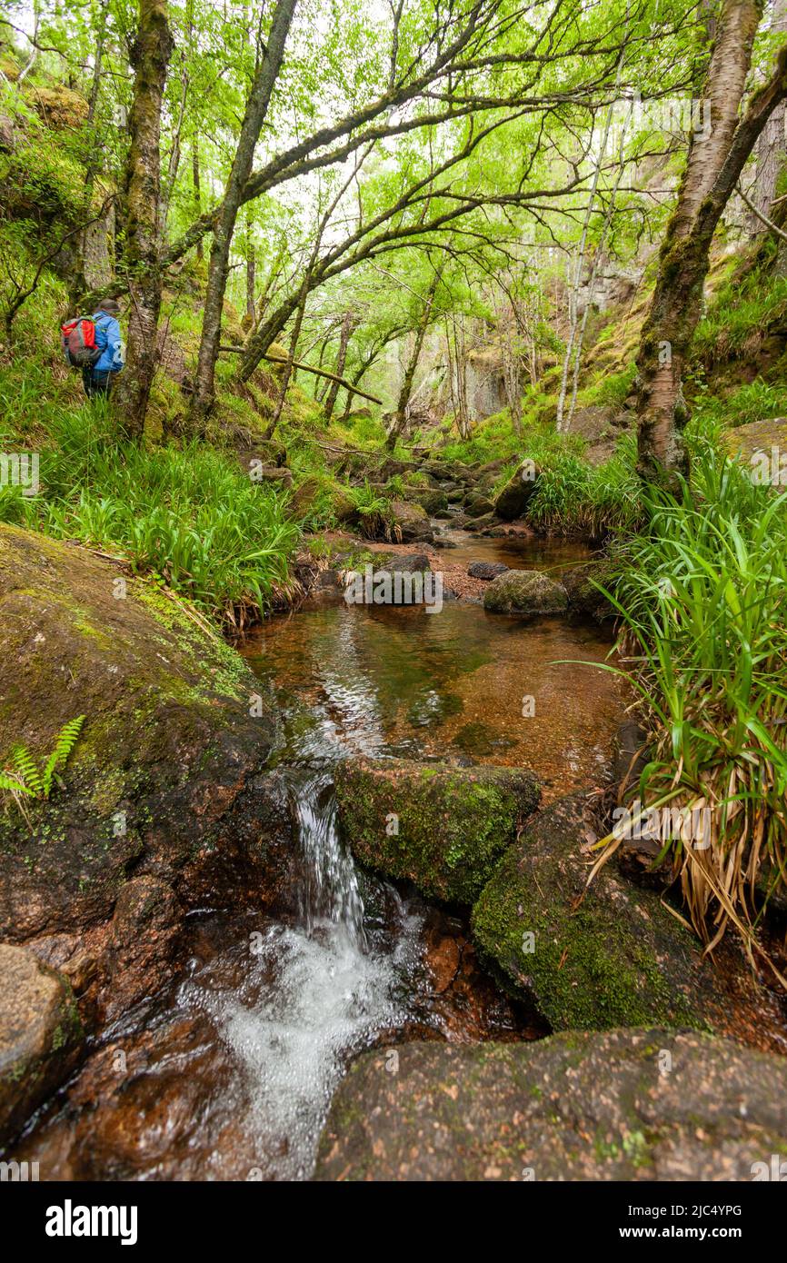 Pothole burn hi-res stock photography and images - Alamy