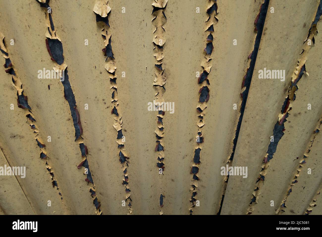 A close-up shot of paint coming off in peeled form from a metal sheet ...