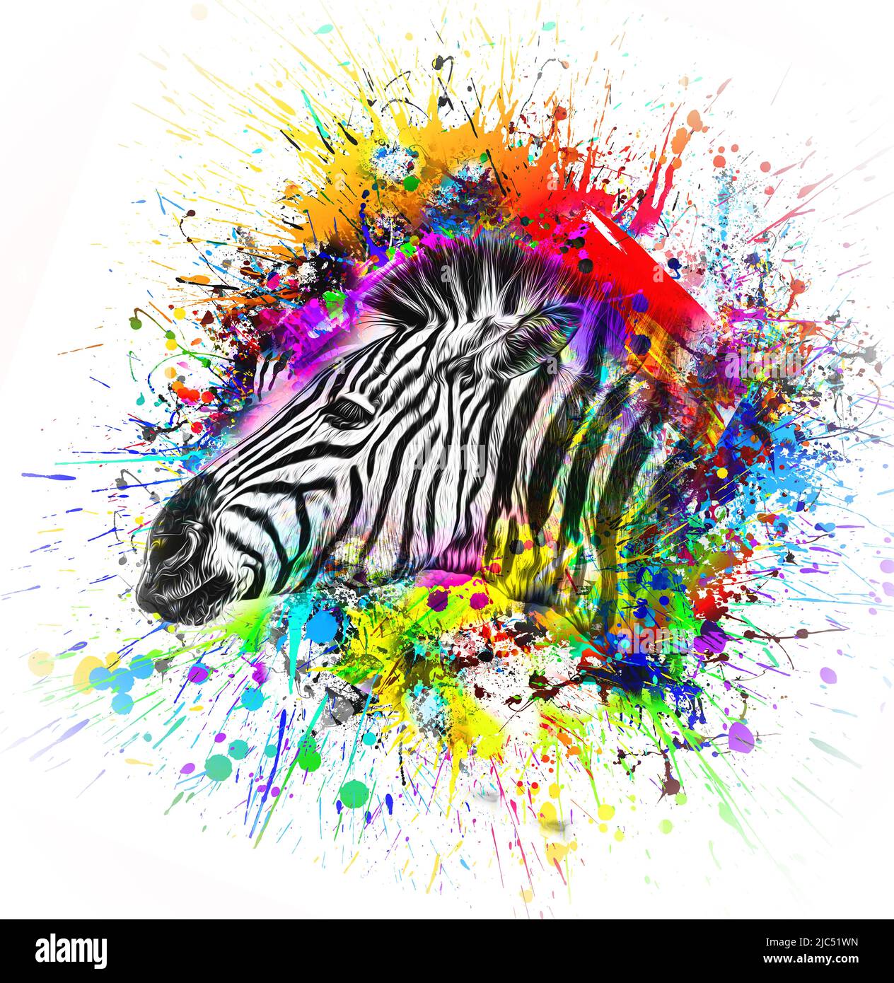 Colorful artistic zebra muzzle with bright paint splatters color art ...
