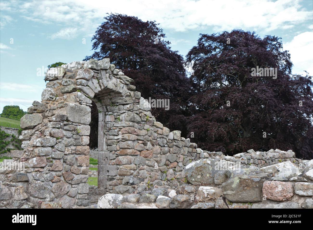 Deer abbey aberdeenshire hi-res stock photography and images - Alamy