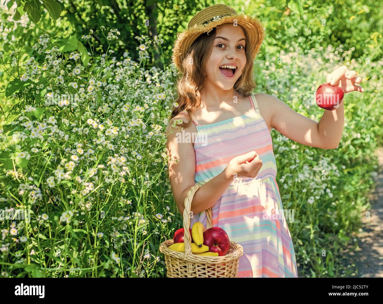 Apple a day. Happy child pick apple crops in garden. Healthy food and ...