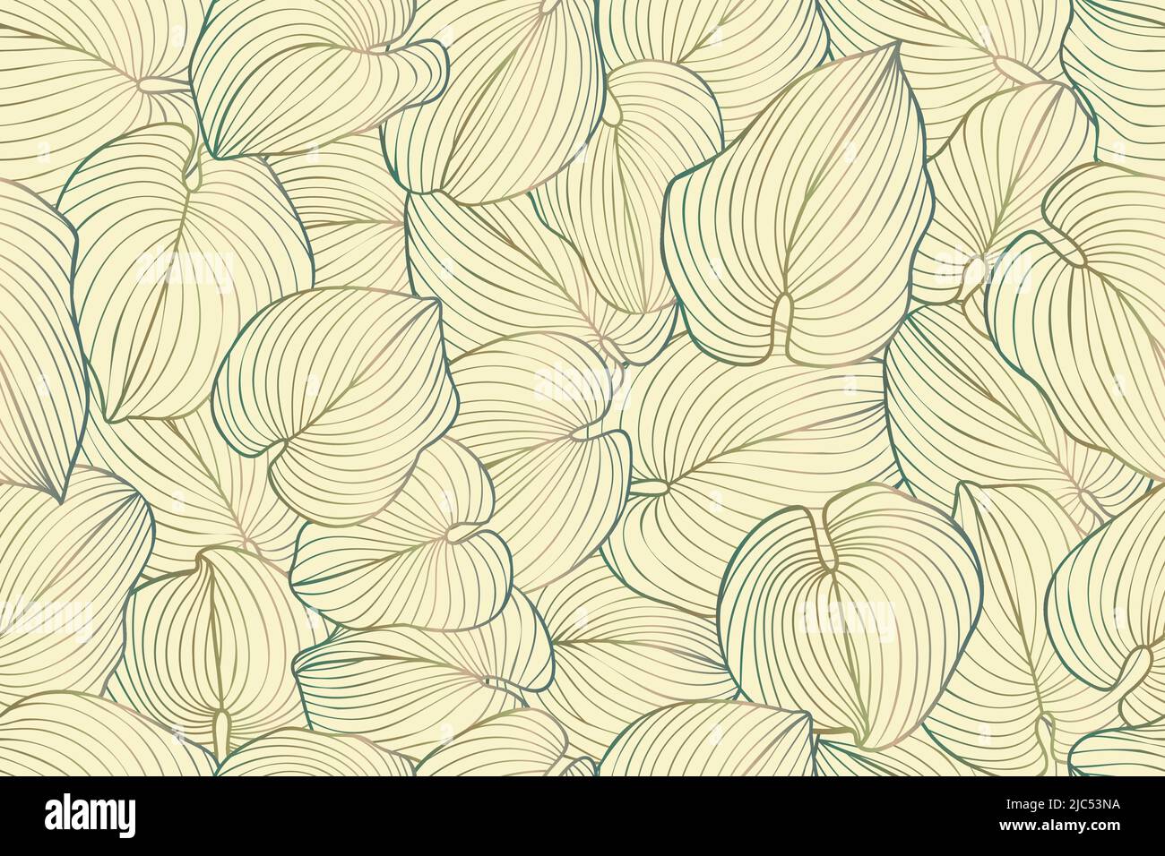 Hosta leaves seamless pattern. Hosta sieboldiana or funkia sina ...