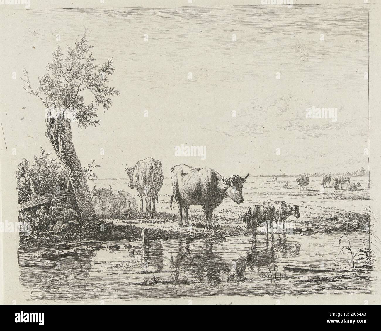 Meadow Scene with Cows by Water, print maker: Simon van den Berg ...