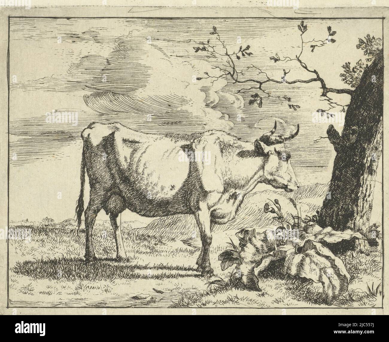 Cow standing by tree Cattle and pigs (series title), print maker ...
