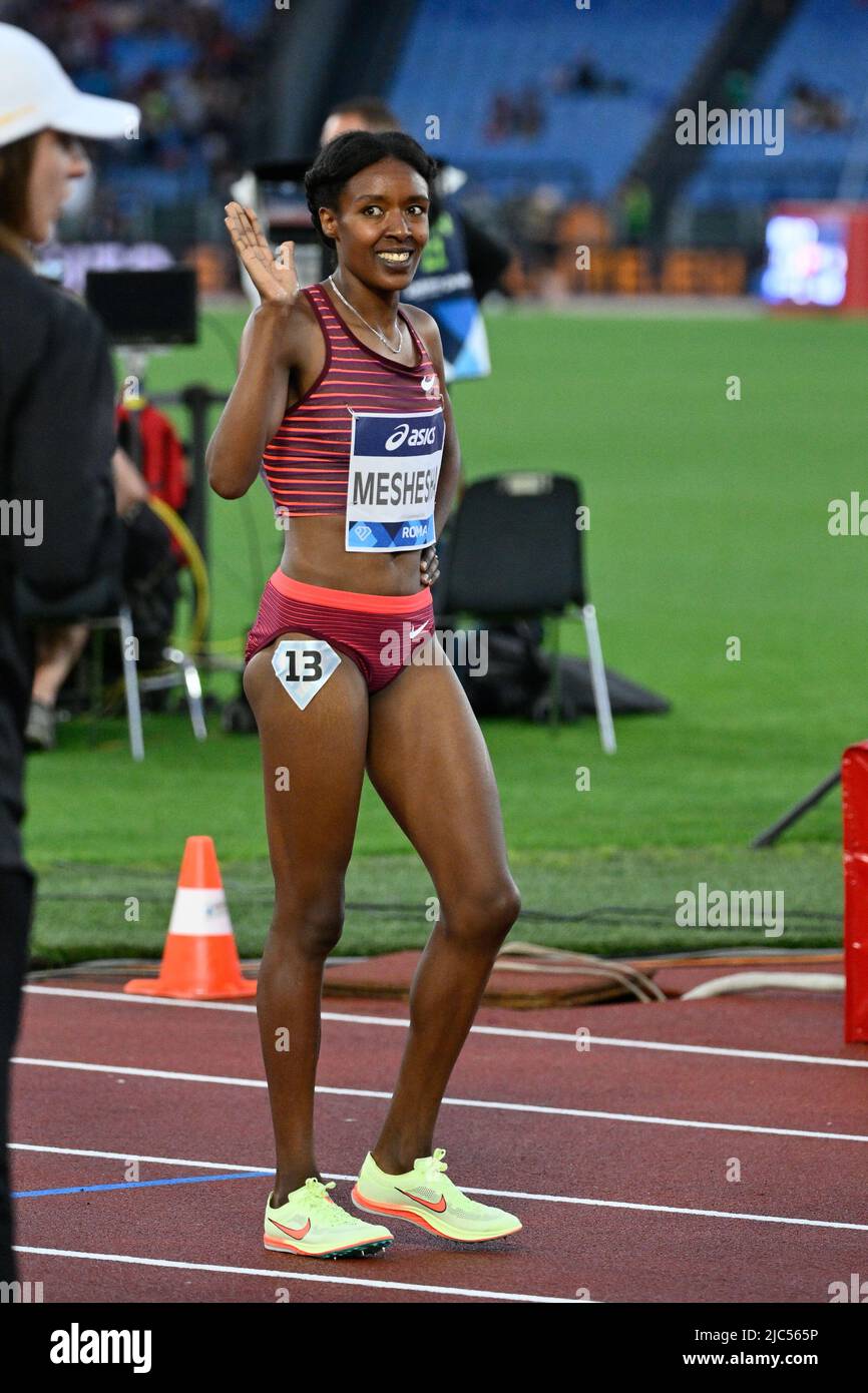 Meshesha hirut hi-res stock photography and images - Alamy