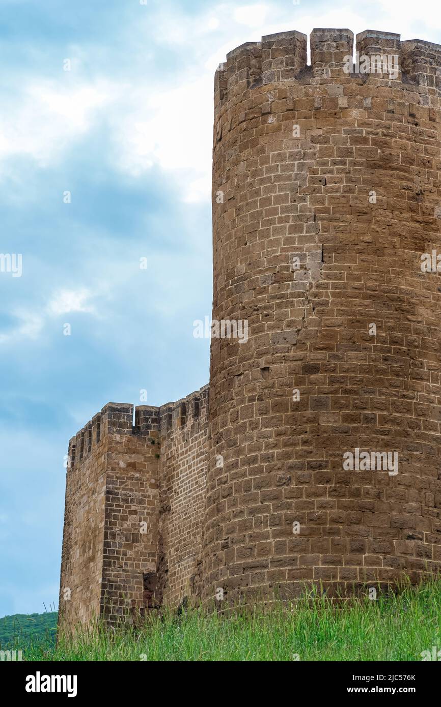 tower of a medieval fortress above a rampart overgrown with grass ...