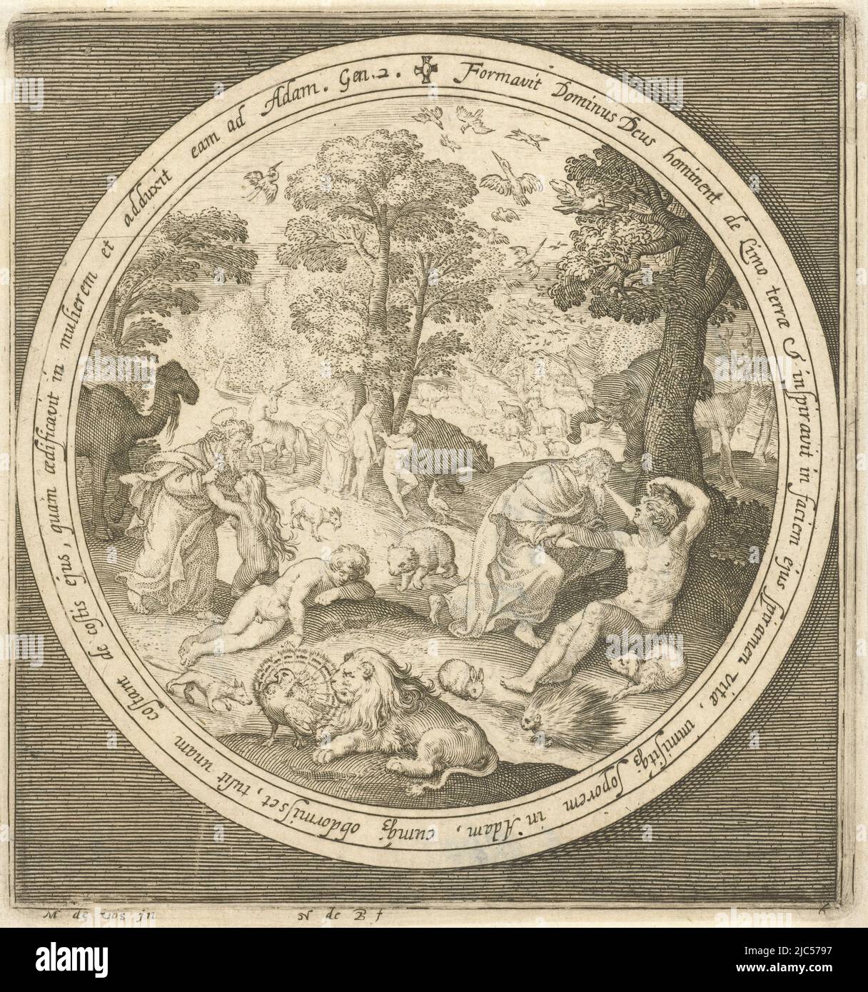 1581 1656 sixth day of creation hi-res stock photography and images - Alamy