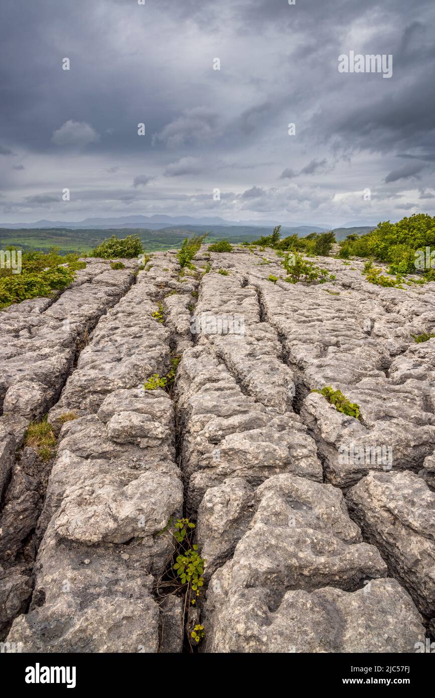 The Limestone Pavement of Hampsfell, Lake District, England Stock Photo ...