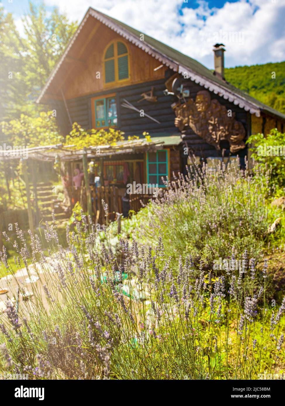 wooden cottage house traditional natural in the forest with garden ...