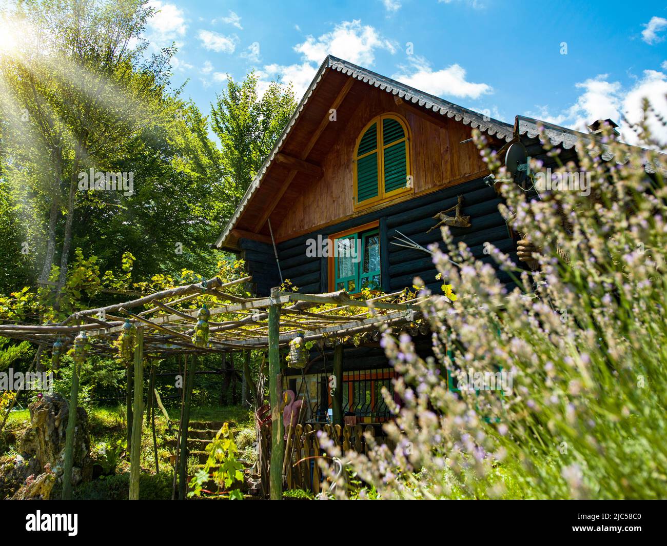 wooden cottage house traditional natural in the forest with garden ...