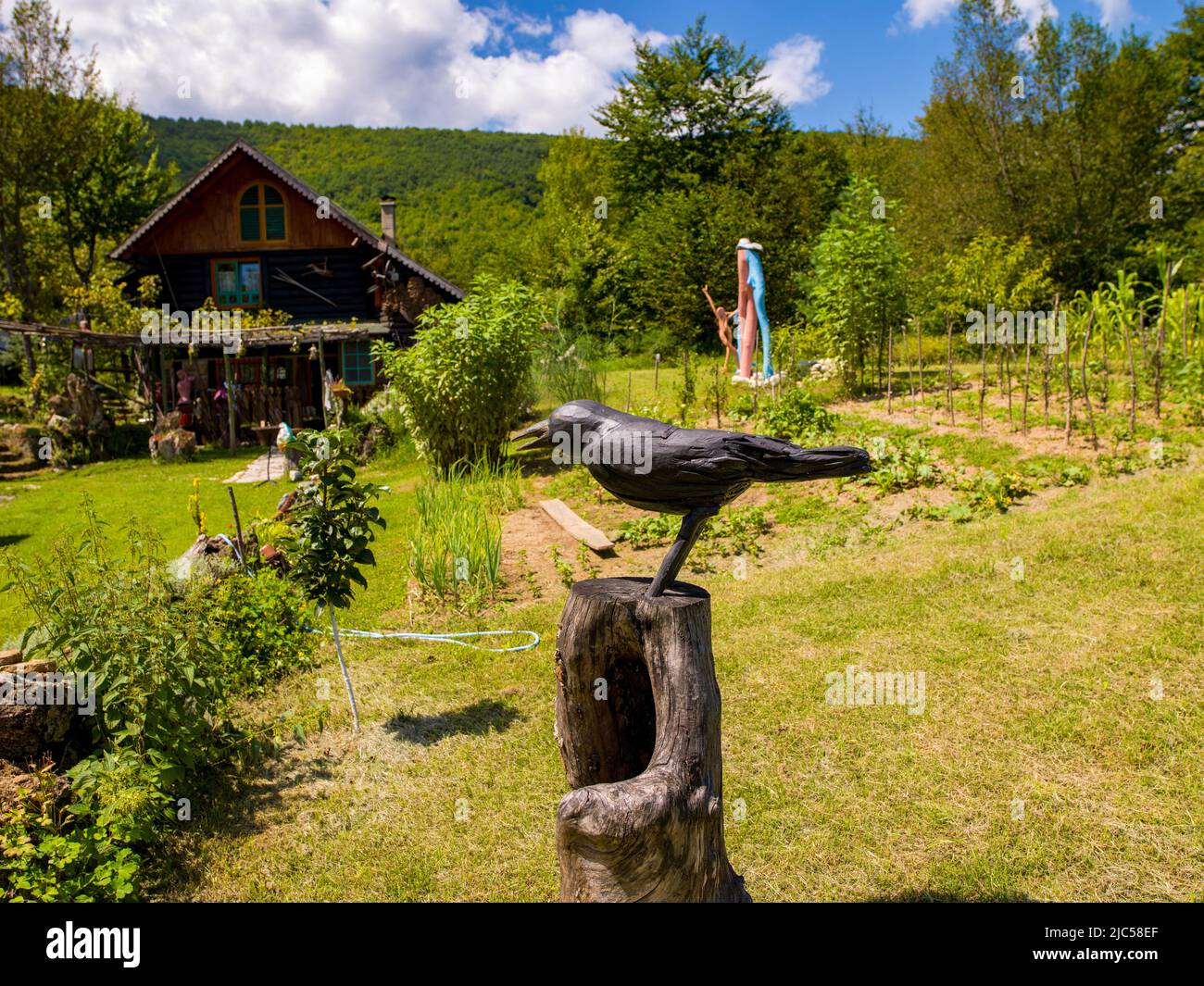 wooden cottage house traditional natural in the forest with garden ...
