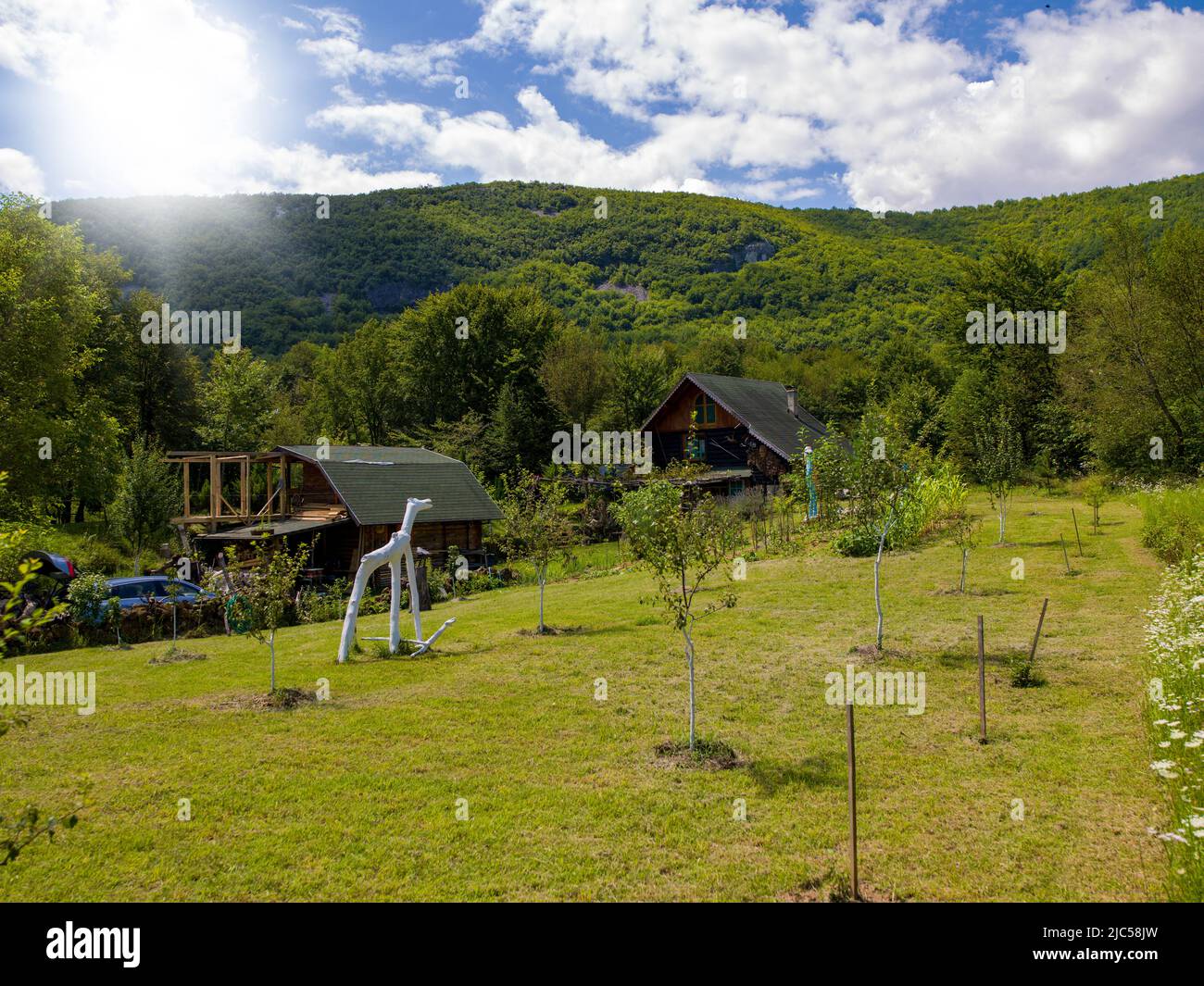 wooden cottage house traditional natural in the forest with garden ...