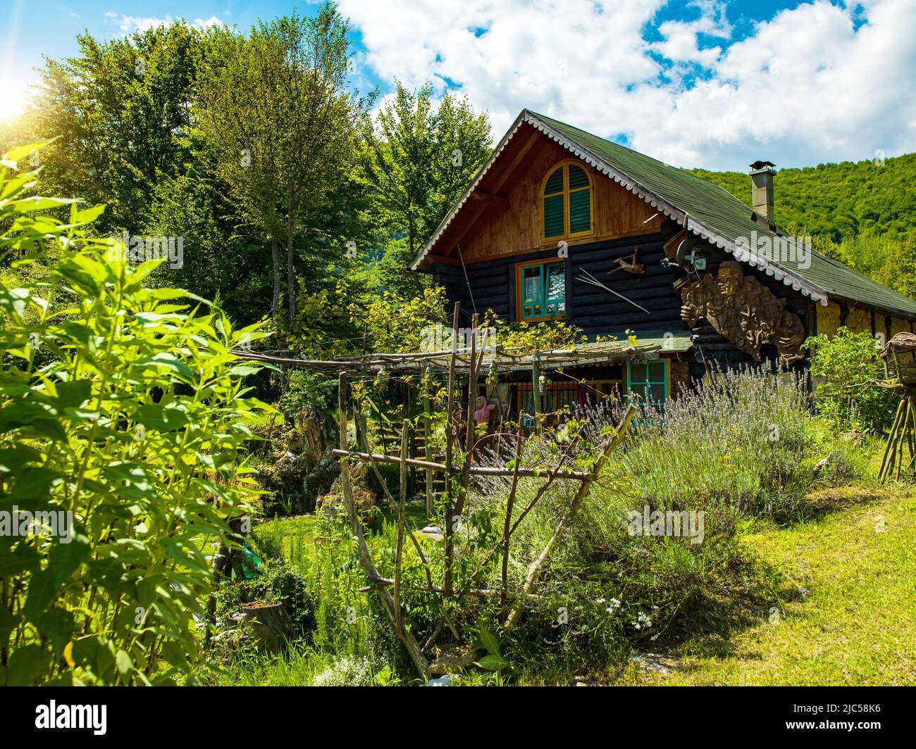 wooden cottage house traditional natural in the forest with garden ...