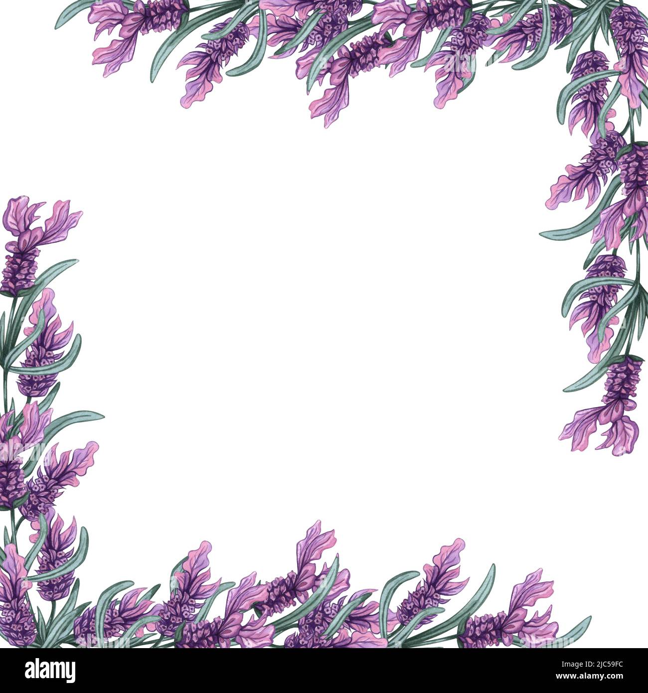 Lavender flowers frame. Watercolor hand drawn background. lavender ...