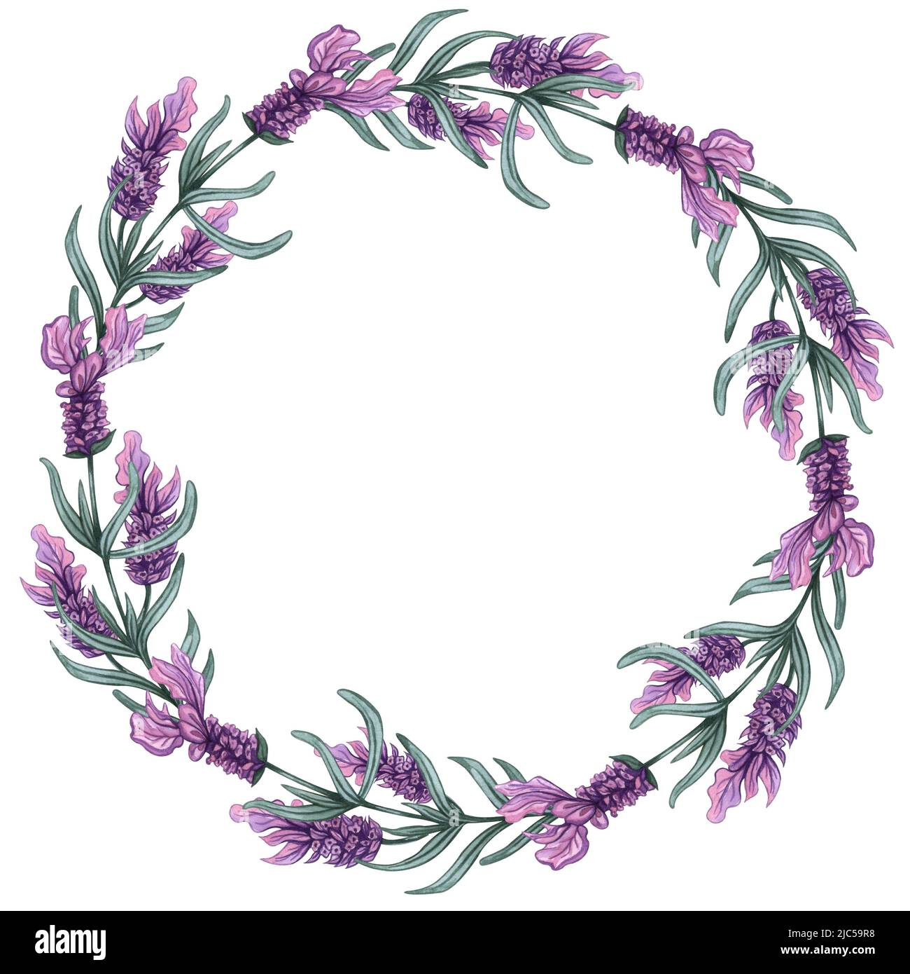 Lavender flowers frame. Watercolor hand drawn background. lavender ...