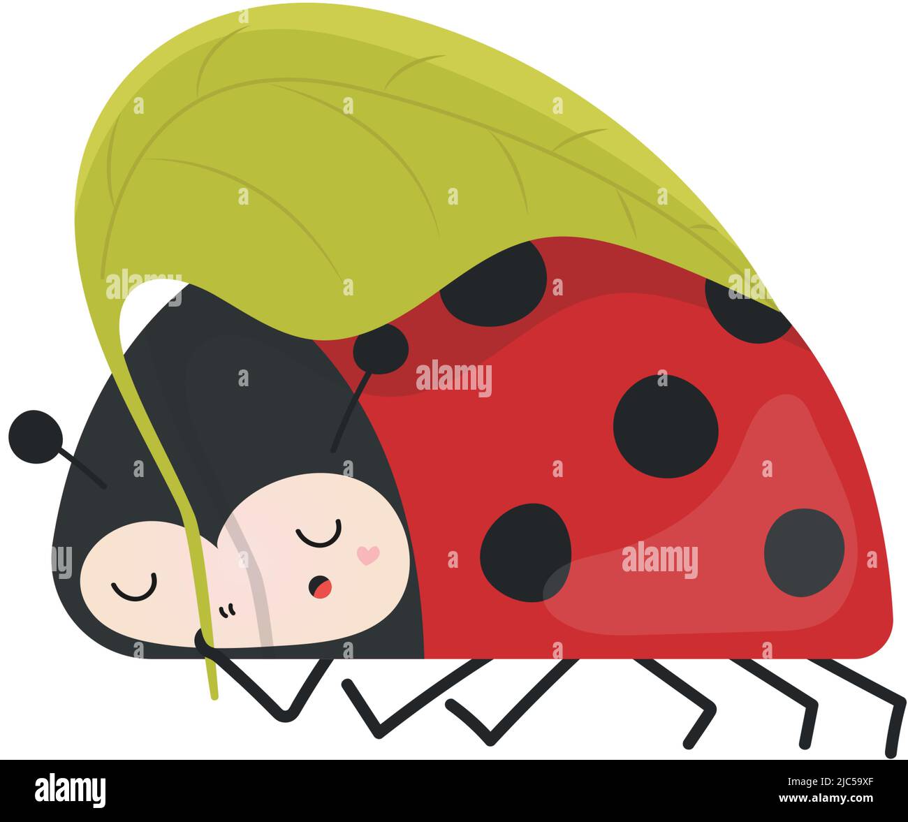 Ladybug Cartoon Clip Art