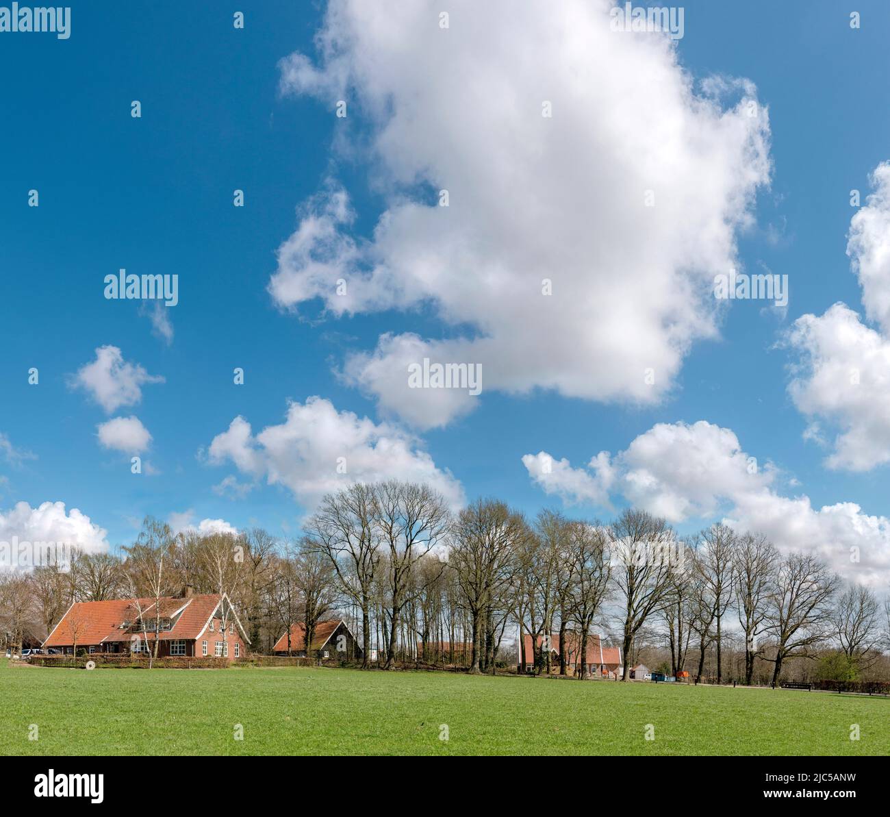 Saxony type farmhouses *** Local Caption *** Netherlands,farm, field ...