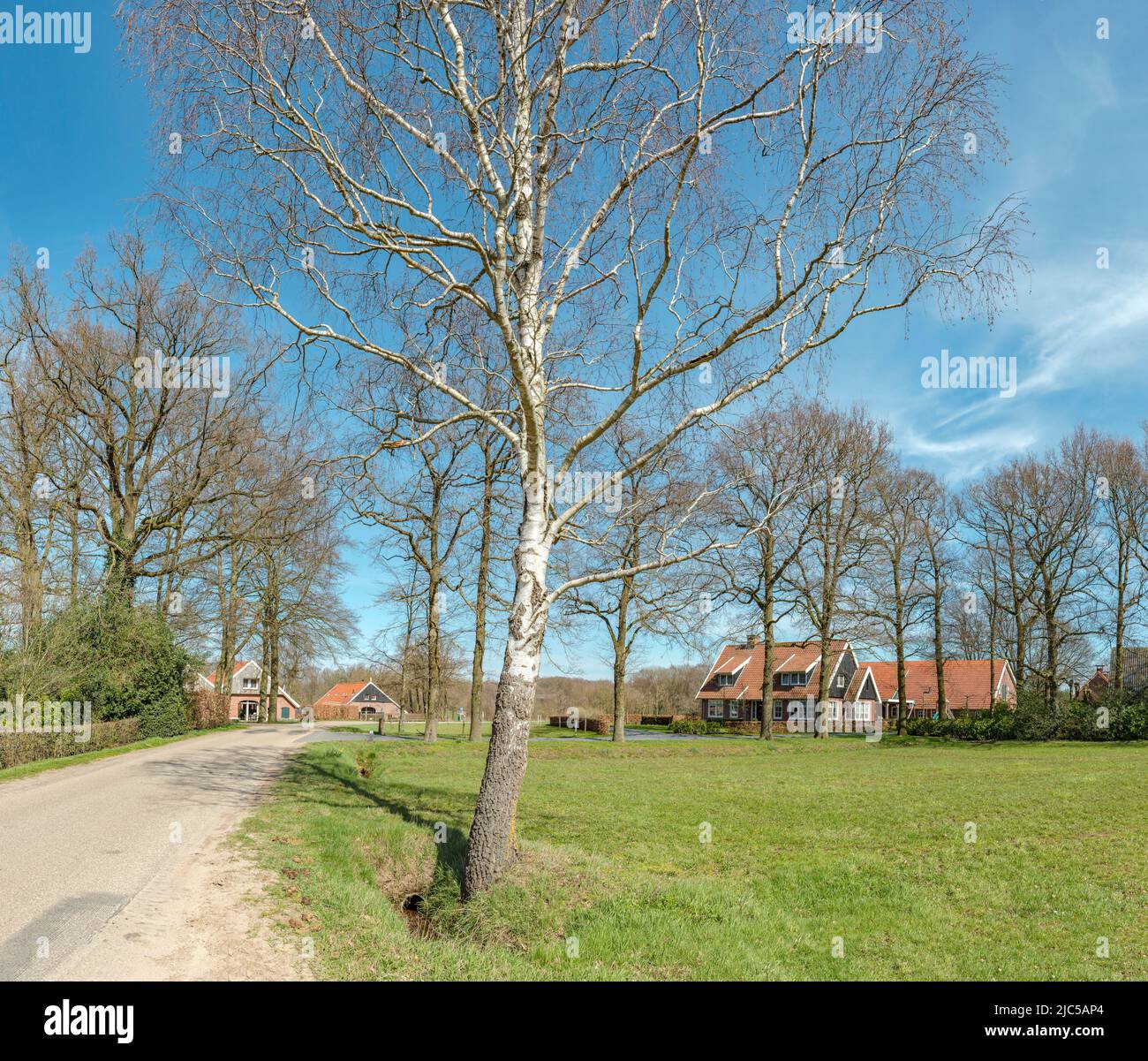 Saxony type farmhouses *** Local Caption *** Netherlands,farm, field ...