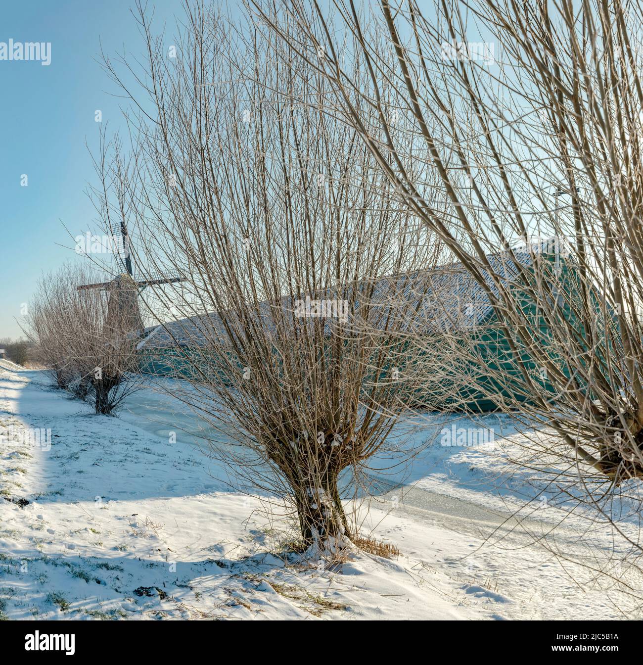 Paper producing windmill called De Schoolmeester *** Local Caption ...