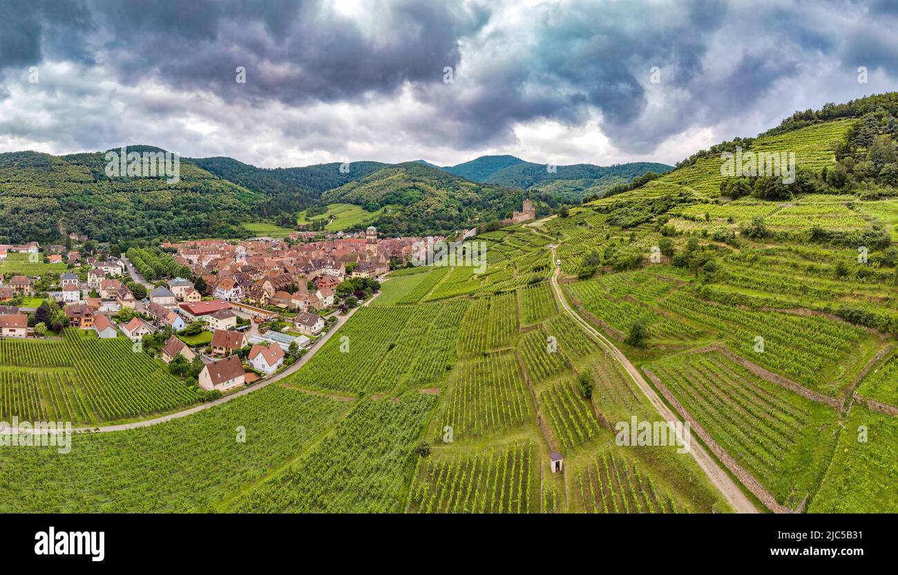 A village amid the vinyards *** Local Caption *** France,city, village ...
