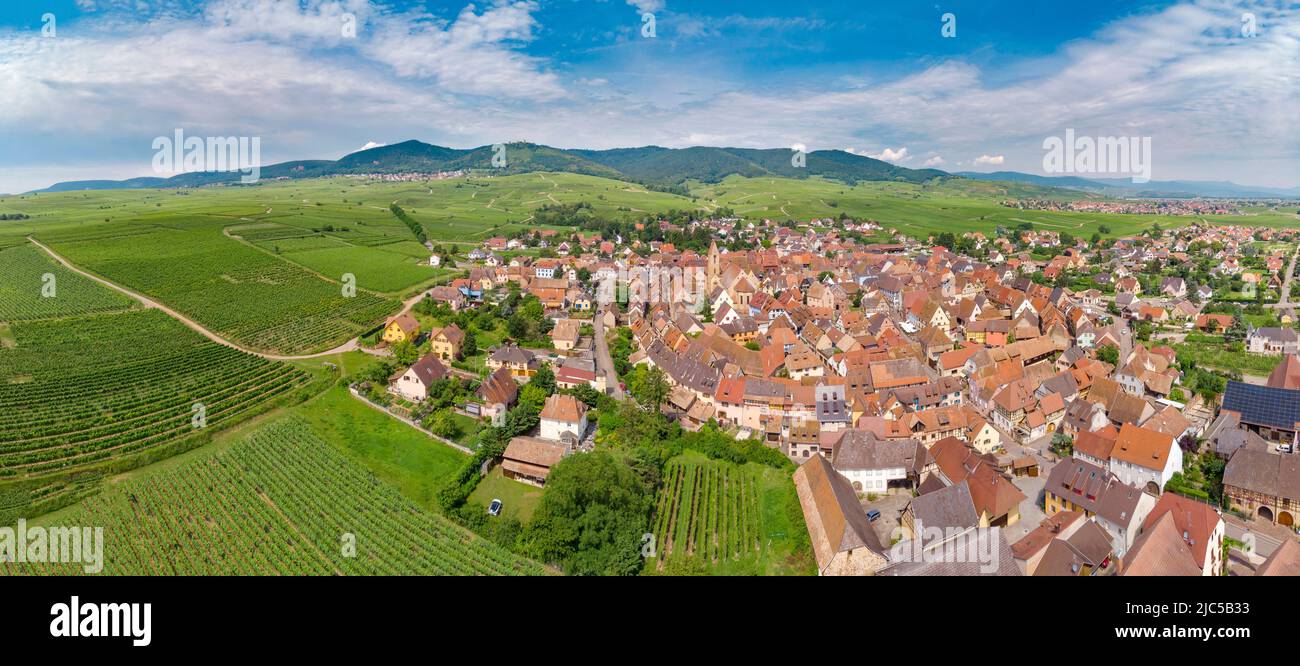 A village amid the vinyards *** Local Caption *** France,city, village ...