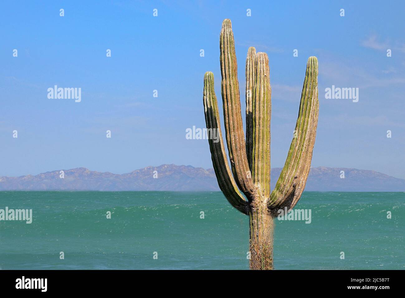Mexico, Baja California Sur, El Sargento, Ventana Bay, Cerralvo Island ...