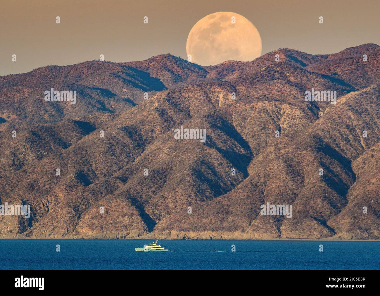 Mexico, Baja California, Gulf of California, Isla Cerralvo, Walton ...