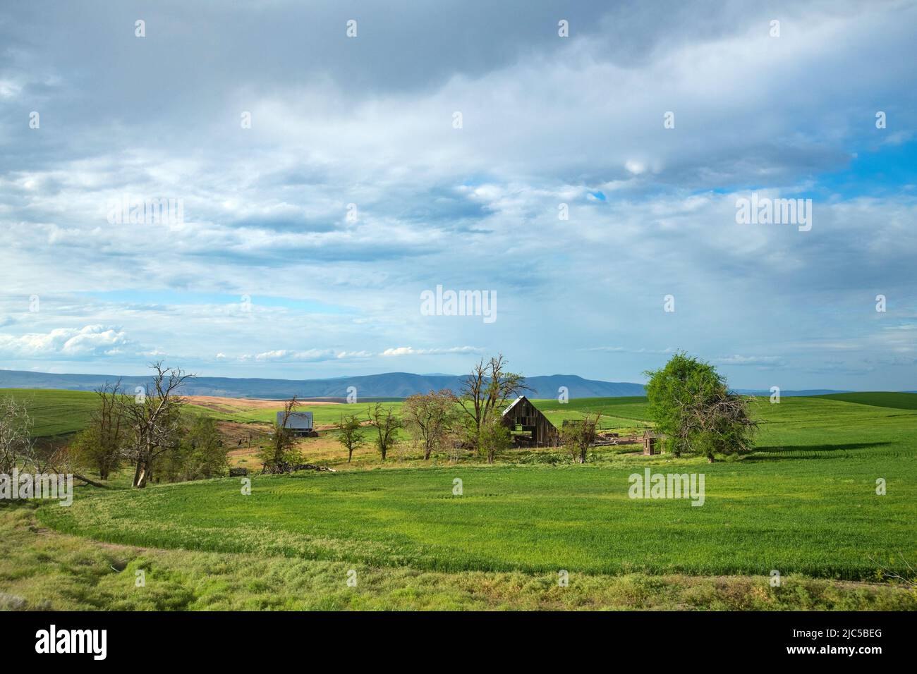 USA, Oregon,Wasco County, The Dalles, outback *** Local Caption *** USA ...