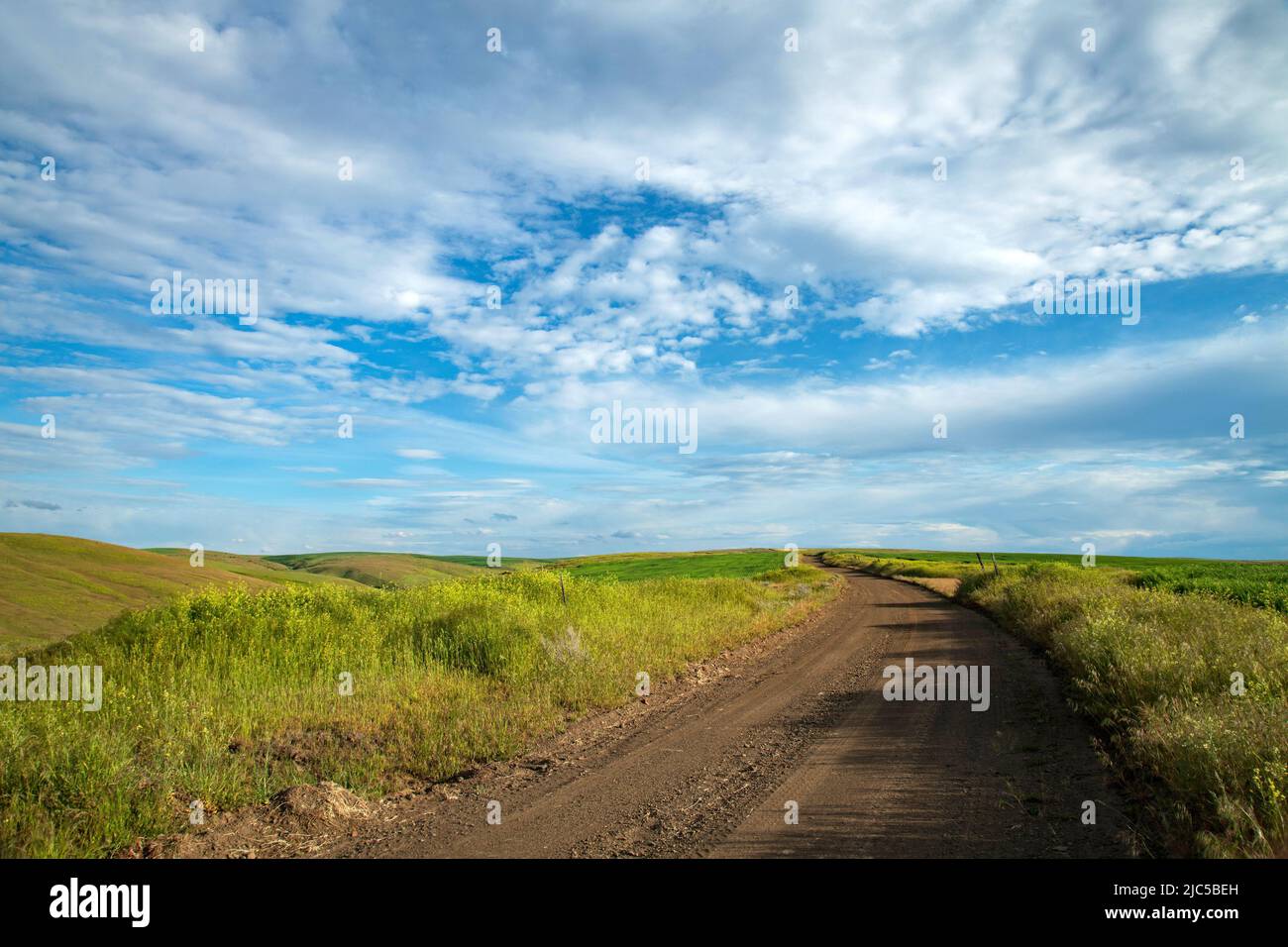 USA, Oregon,Wasco County, The Dalles, outback *** Local Caption *** USA ...