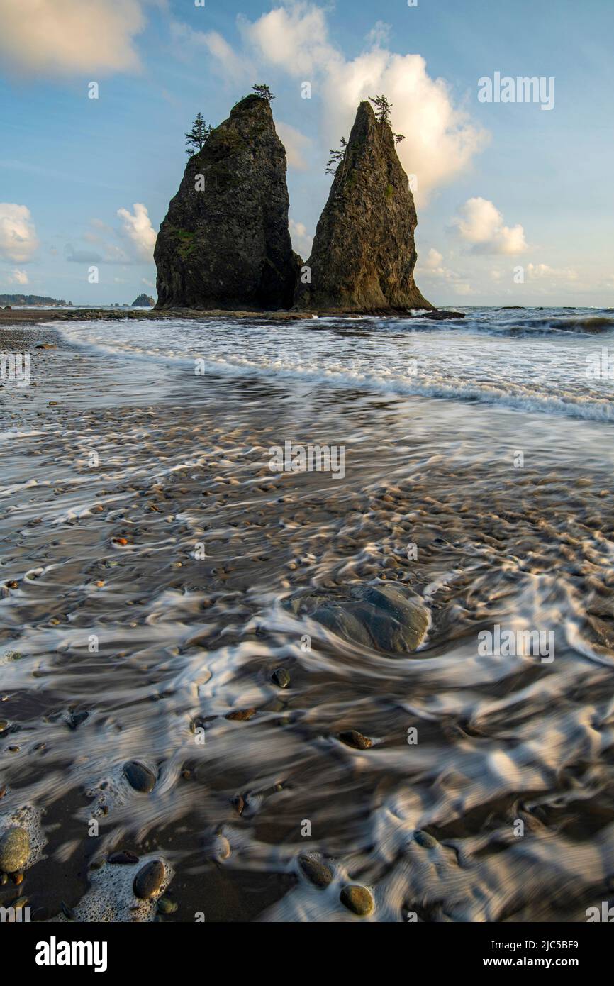 USA,Pacific Northwest, Washington, Olympic Peninsula, Olympic National ...
