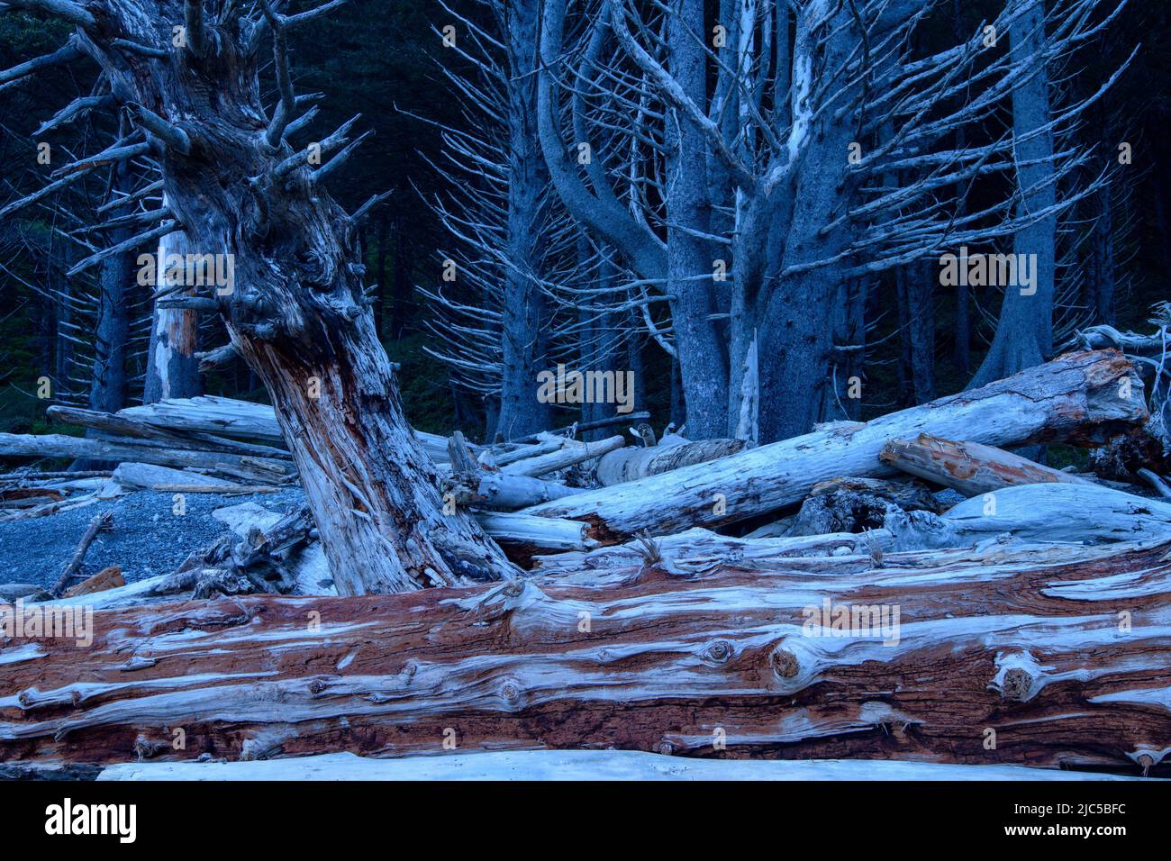 USA,Pacific Northwest, Washington, Olympic Peninsula, Olympic National ...