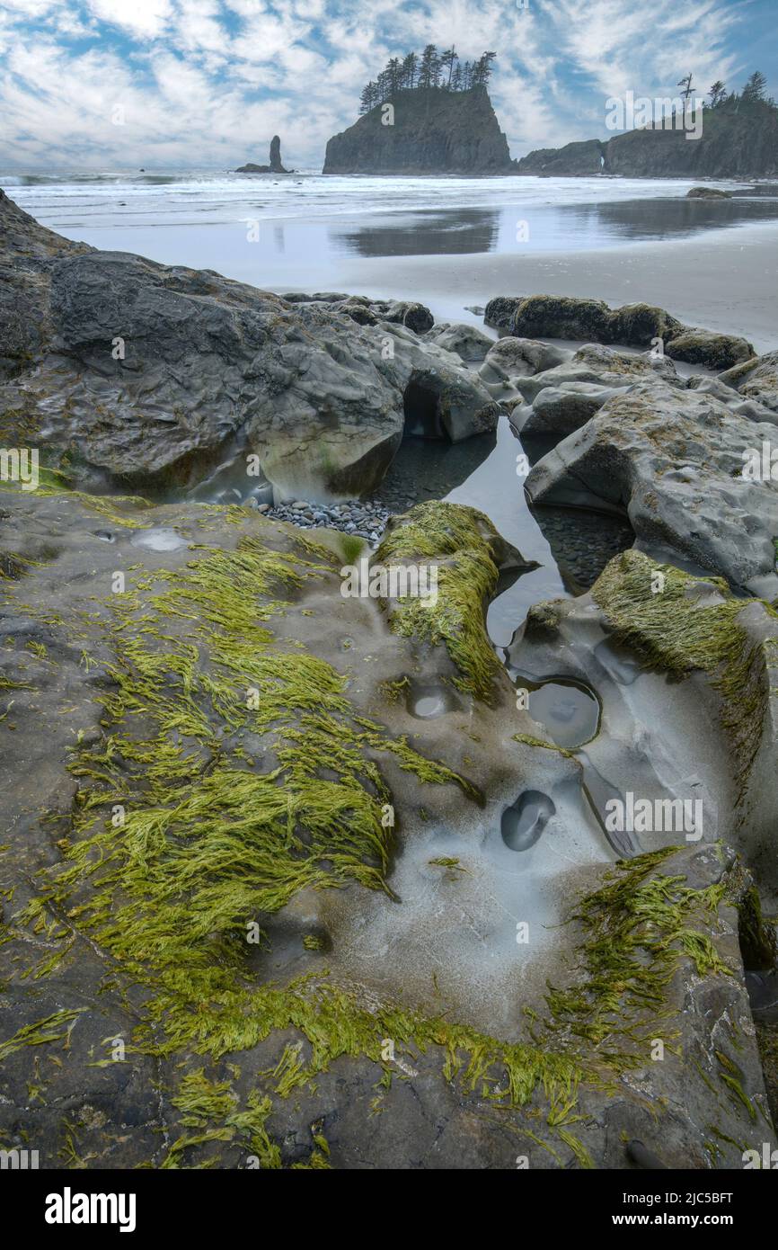 USA,Pacific Northwest, Washington, Olympic Peninsula, Olympic National ...