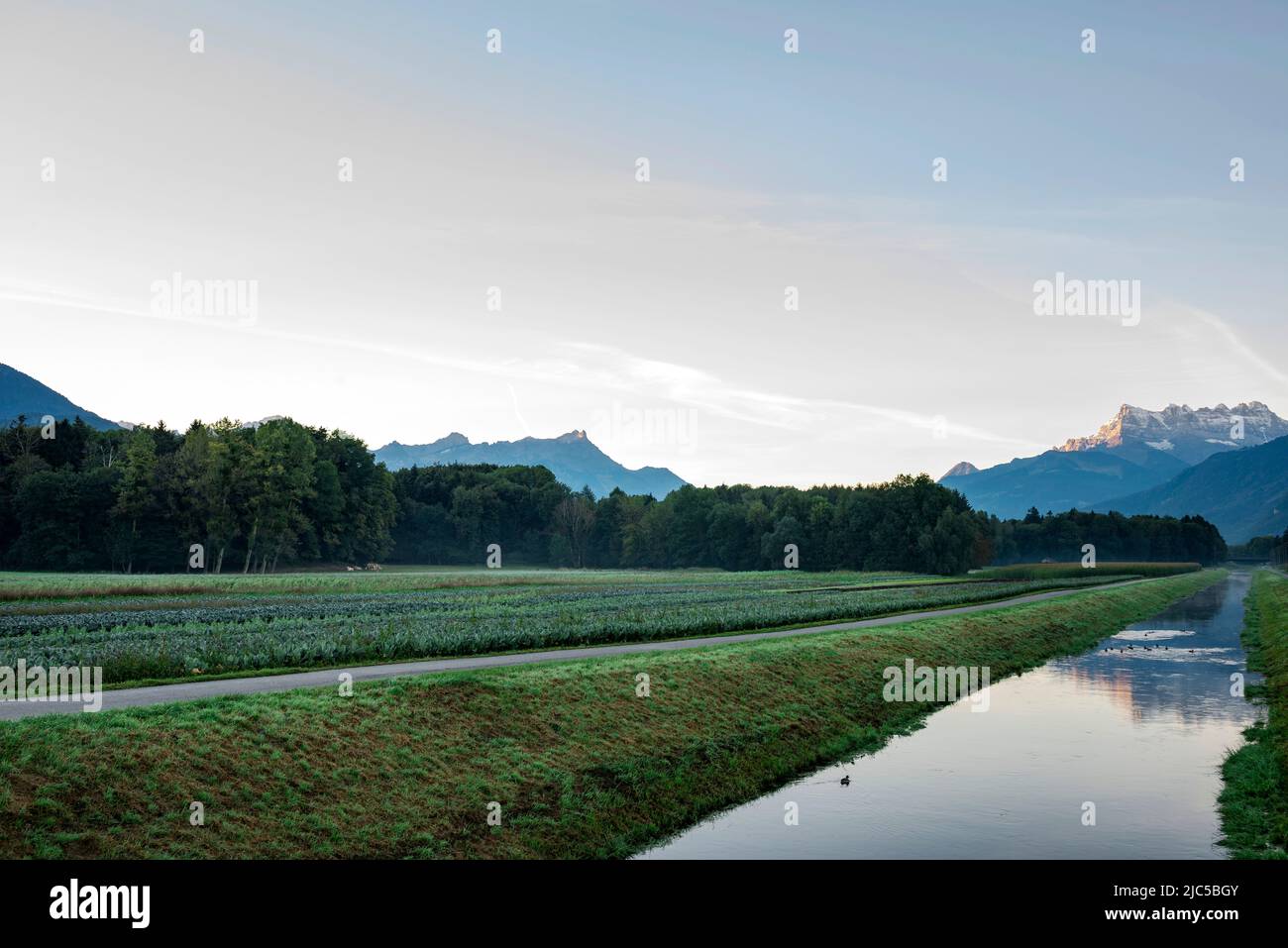 Suisse, Schweiz, Switzerland, Vaud, Canton de Vaud, Waadt, Kanton Waadt ...