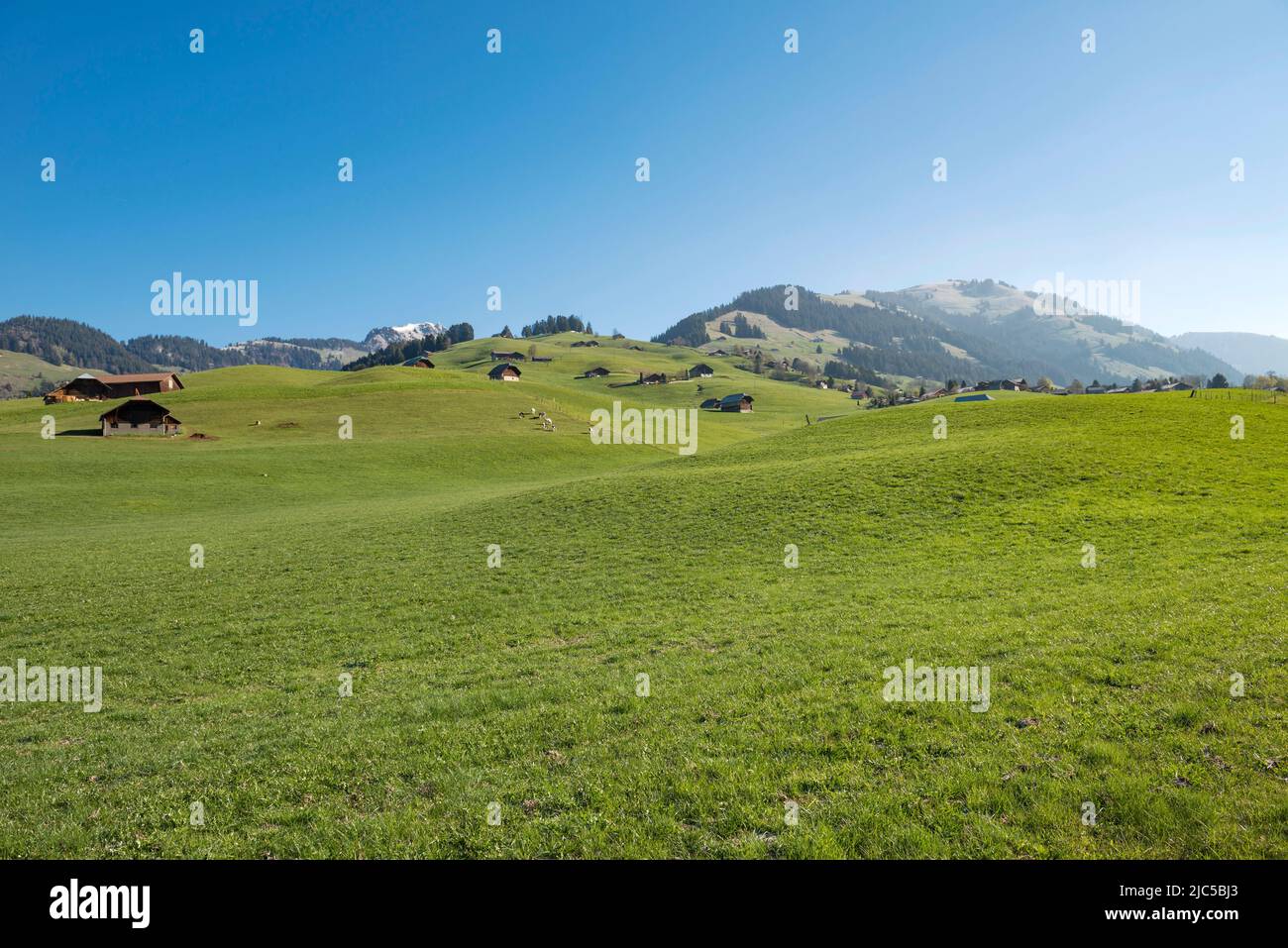 Suisse, Schweiz, Switzerland, Vaud, Waadt, Pays-d'Enhaut, montagne ...