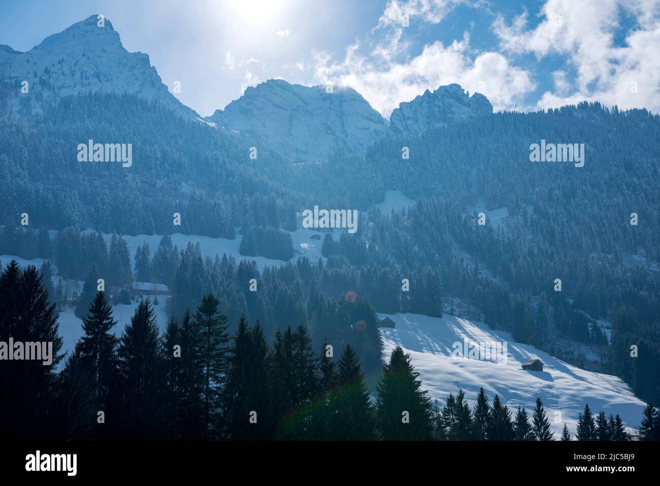 Suisse, Schweiz, Switzerland, Vaud, Waadt, Pays-d'Enhaut, chalet ...
