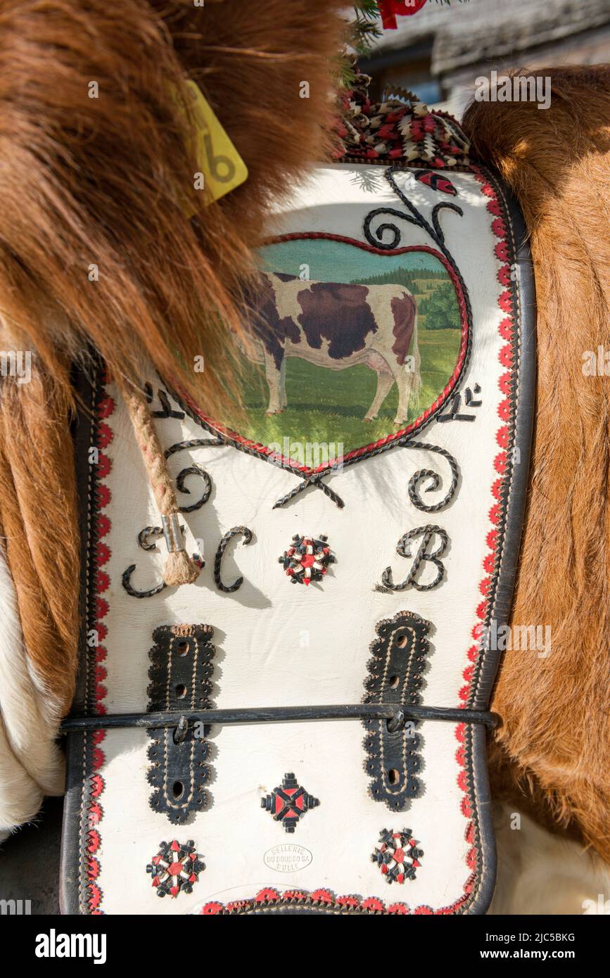 Freiburg cow hi-res stock photography and images - Alamy