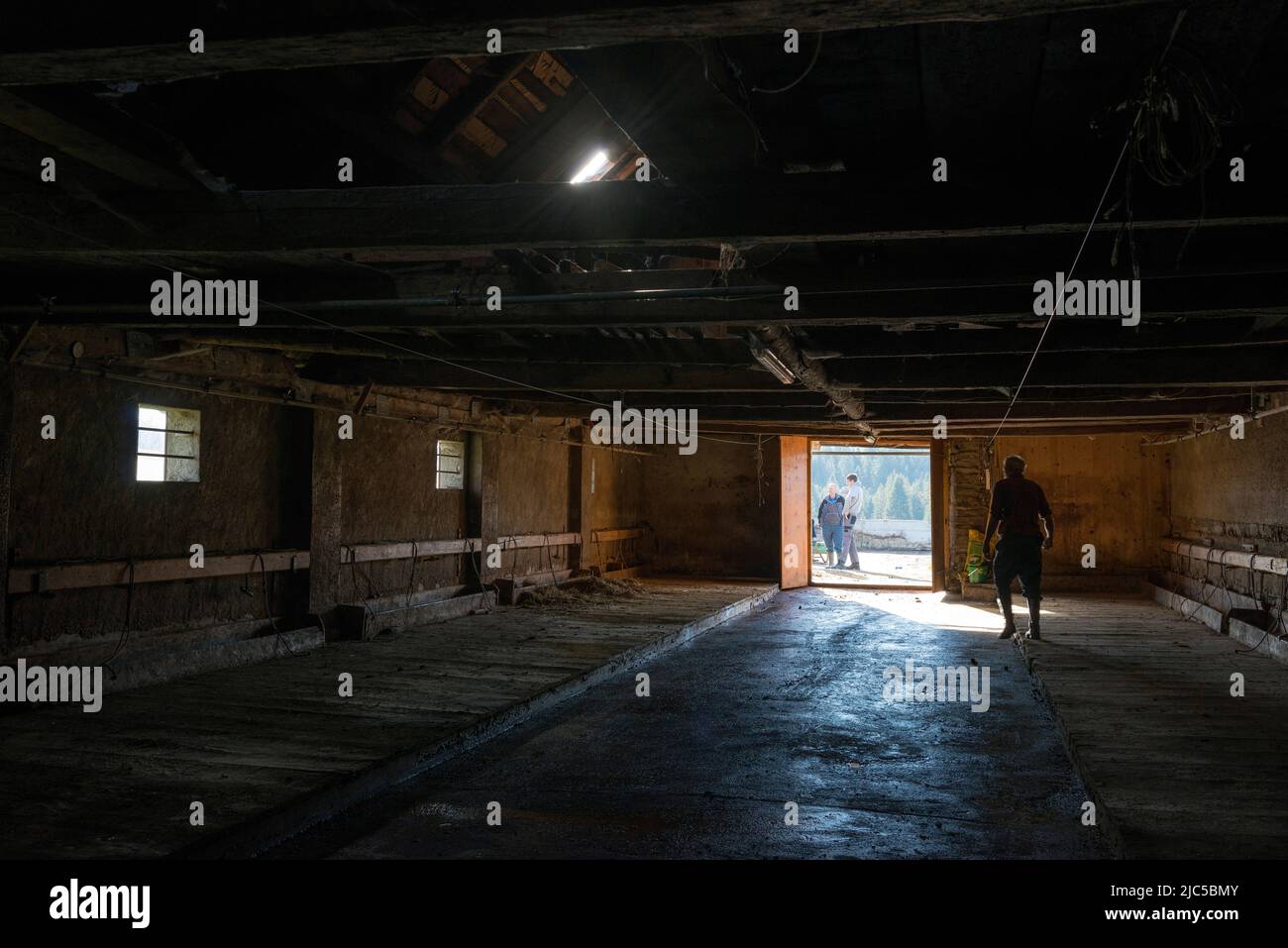 Alp schweiz stall hi-res stock photography and images - Alamy