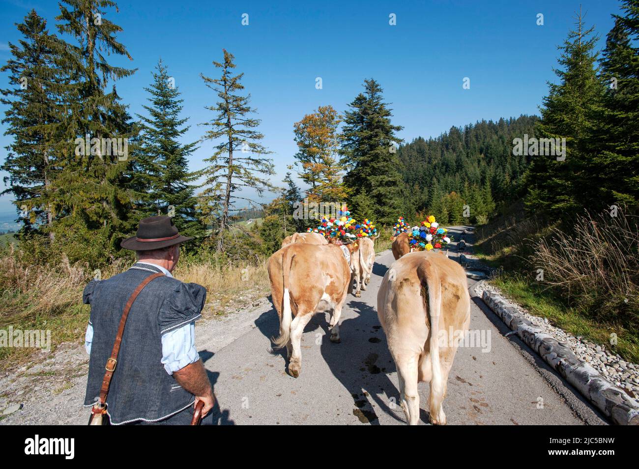 Vaches alpage hi-res stock photography and images - Alamy