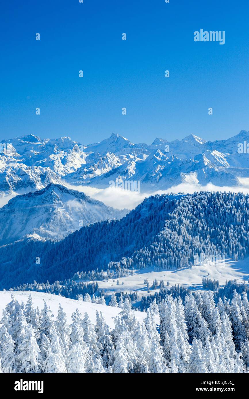 Aussicht von der Rigi, Schweiz *** Local Caption *** The Alps, view ...
