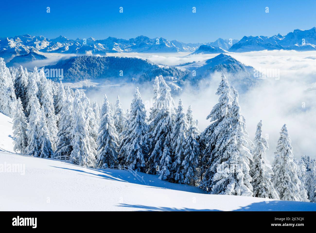Aussicht von der Rigi, Schweiz *** Local Caption *** The Alps ...