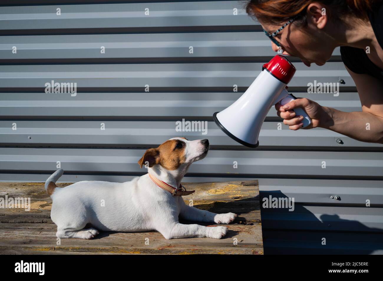 Dog brings leash woman on hi-res stock photography and images - Alamy