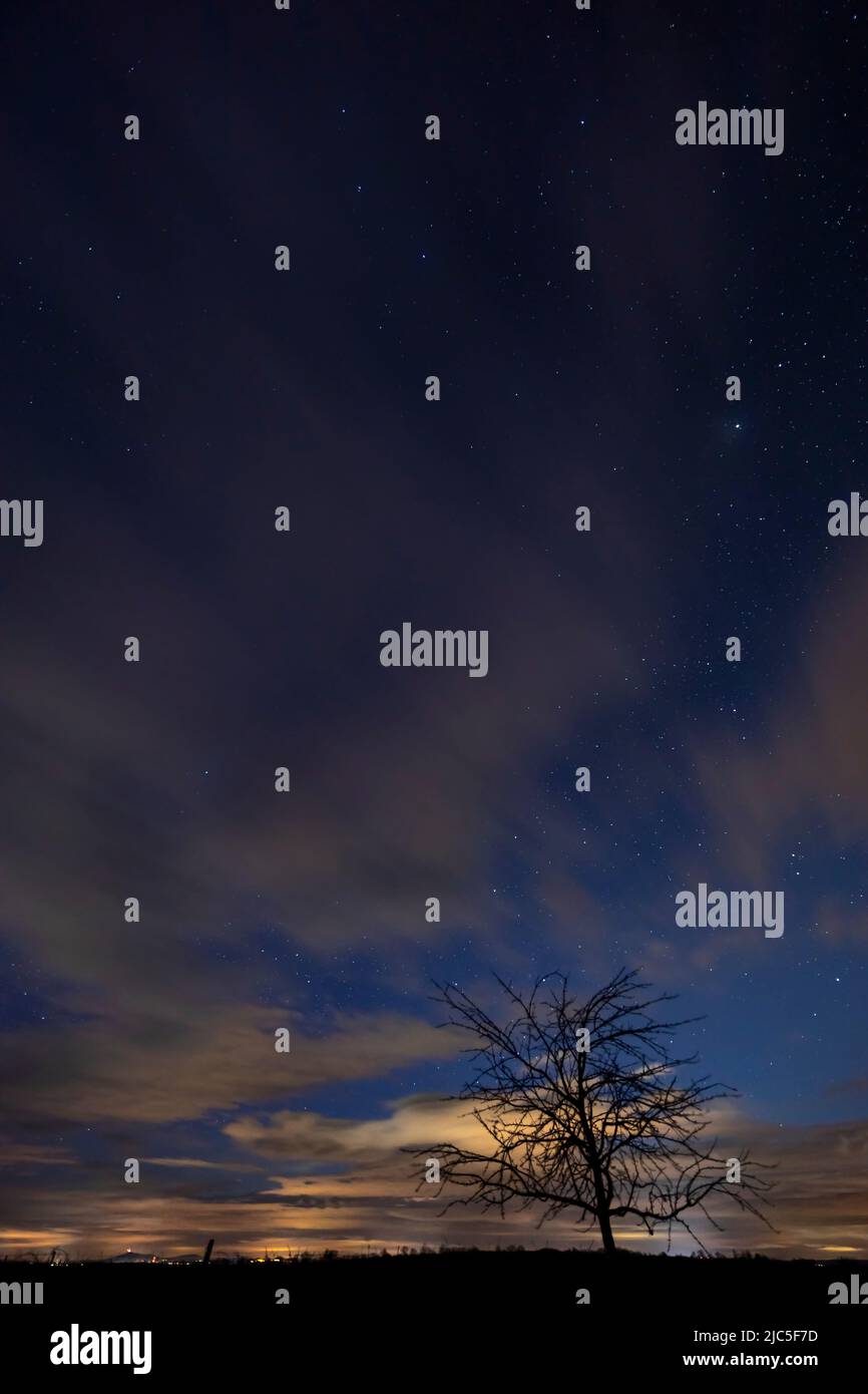 Cosmic tree lights hi-res stock photography and images - Alamy