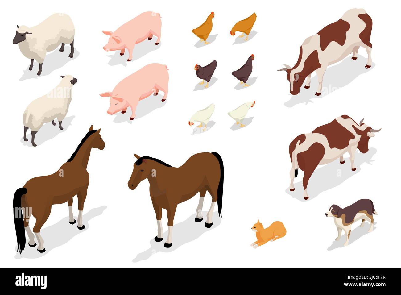 Bird with horse Cut Out Stock Images & Pictures - Alamy