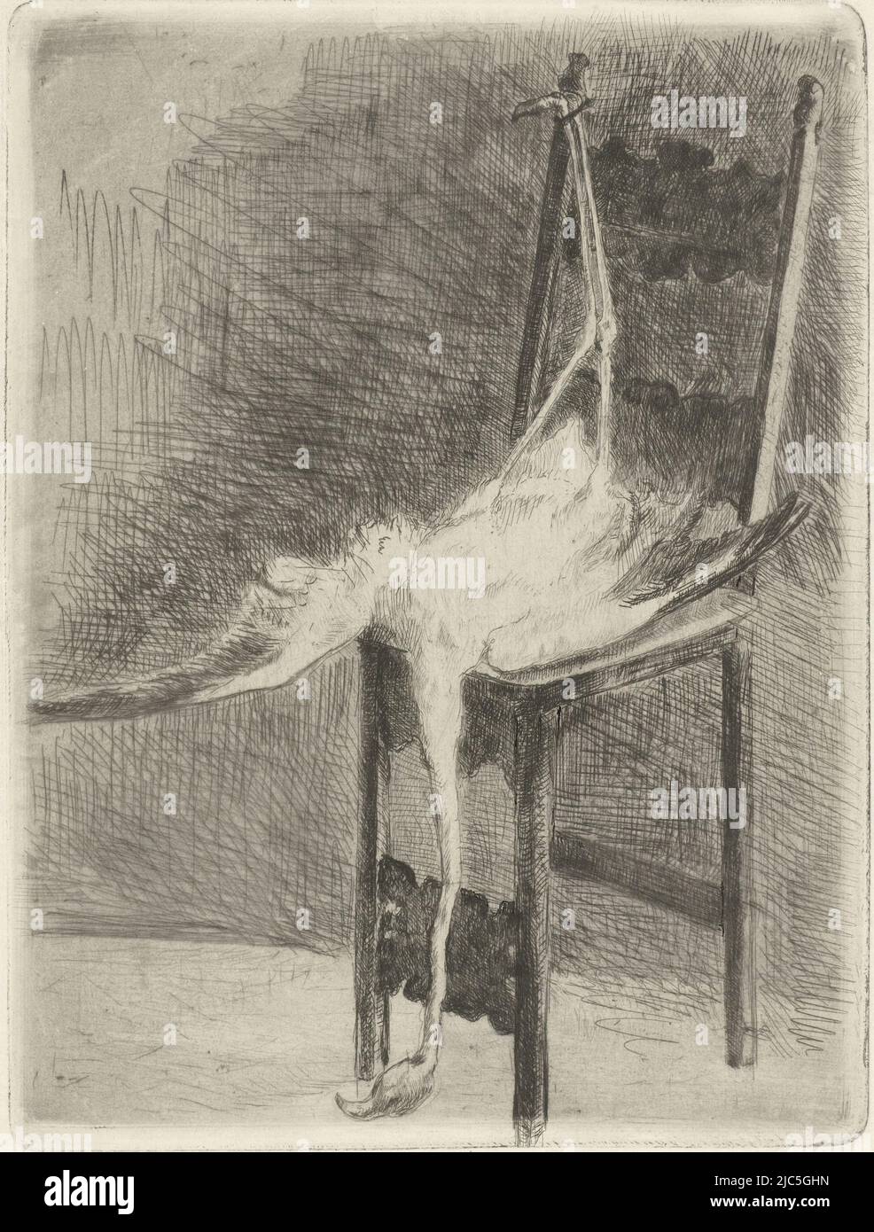 Dead flamingo with its legs tied to the railing of a chair, print maker ...